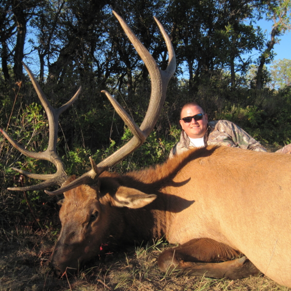 Fully Guided Colorado Elk Hunts On Private Land | Archery or Firearms