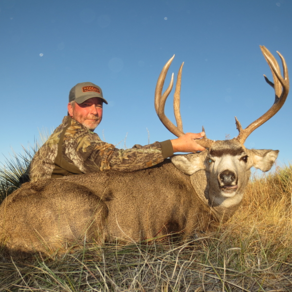 Fully Guided Trophy Mule Deer Hunts in Colorado | J&D Outfitters