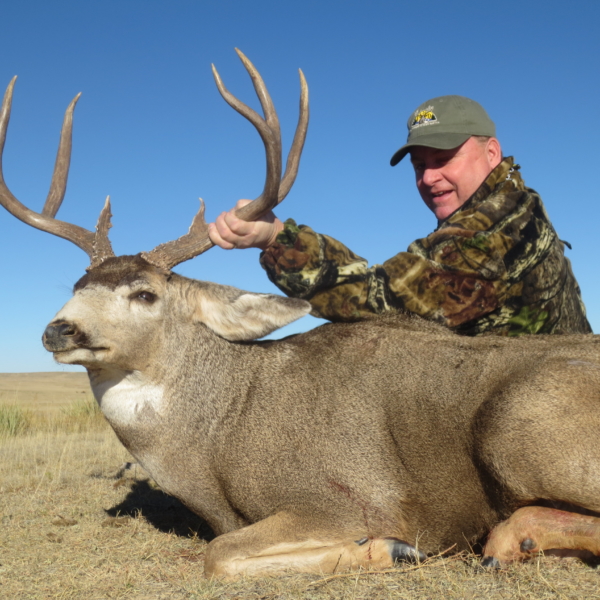 Fully Guided Trophy Mule Deer Hunts in Colorado | J&D Outfitters
